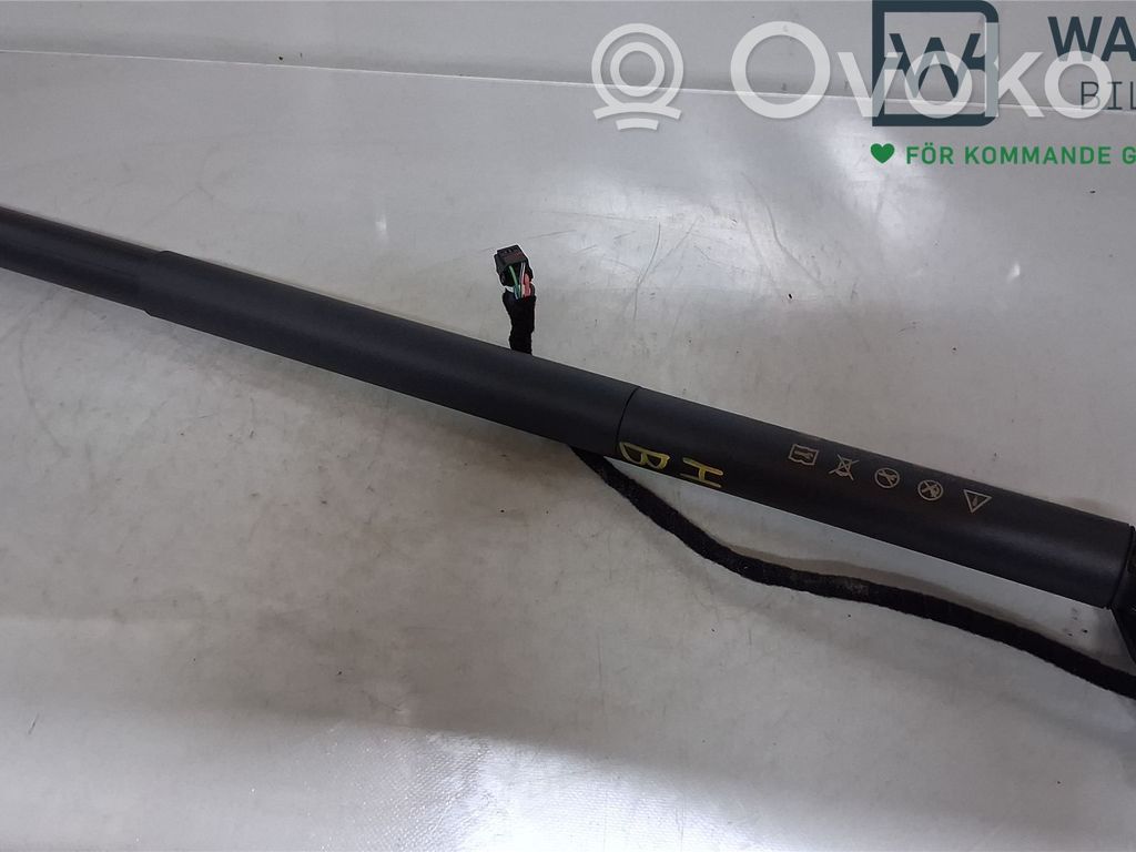 7T0827851D Volkswagen Multivan T7 Jambe de force de hayon, 279,03 € | OVOKO