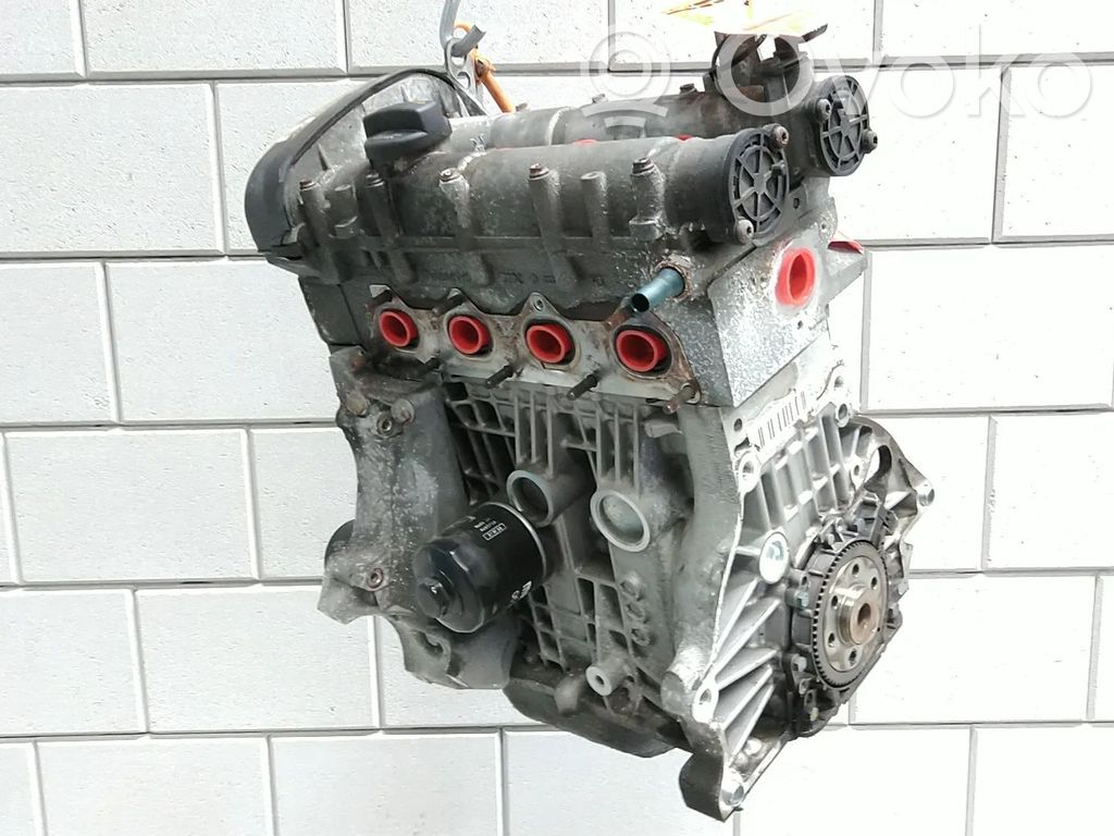 036100038J Volkswagen Polo V 6R Motor, 2.075,15 RON | OVOKO