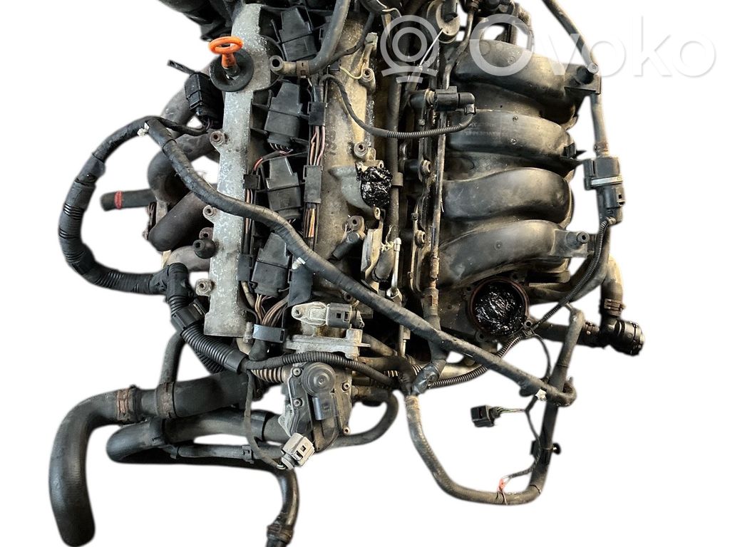 BLF Volkswagen Golf Plus Moteur, 350,00 € | OVOKO