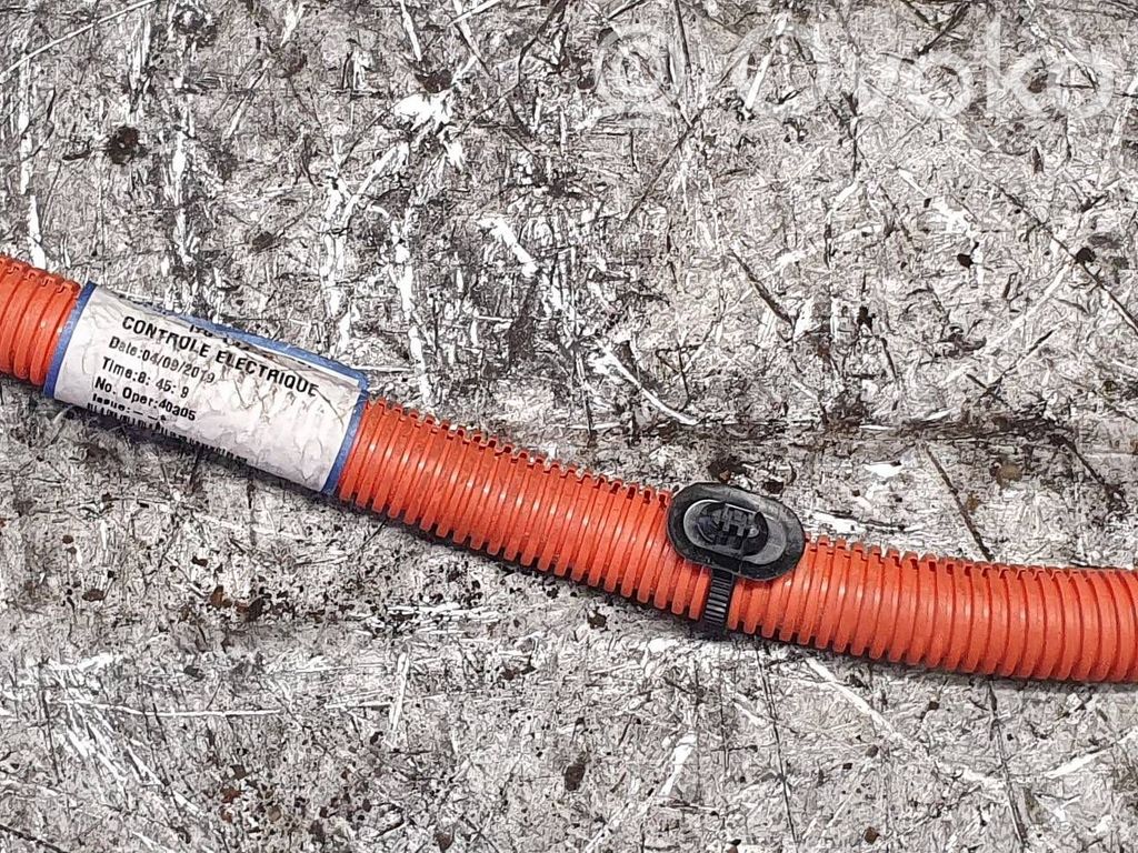 240419193R Renault Zoe Faisceau de câblage pour moteur, 93,48 € | OVOKO