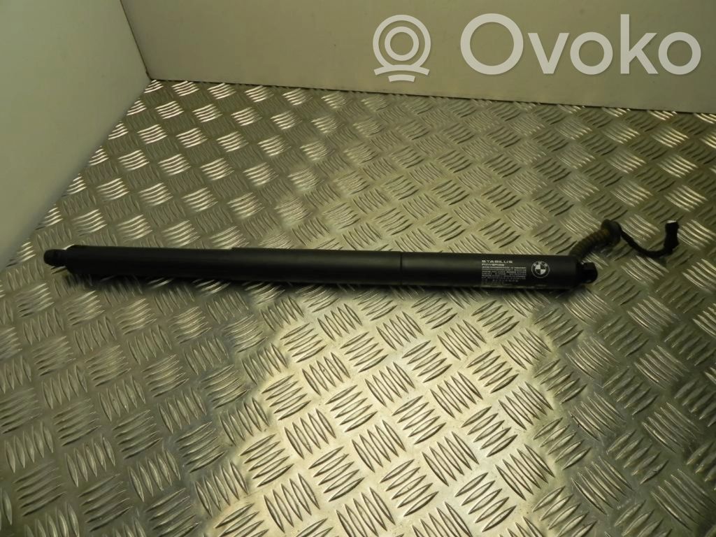 51247350837 BMW X1 F48 F49 Moteur ouverture de coffre, 75,50 € | OVOKO