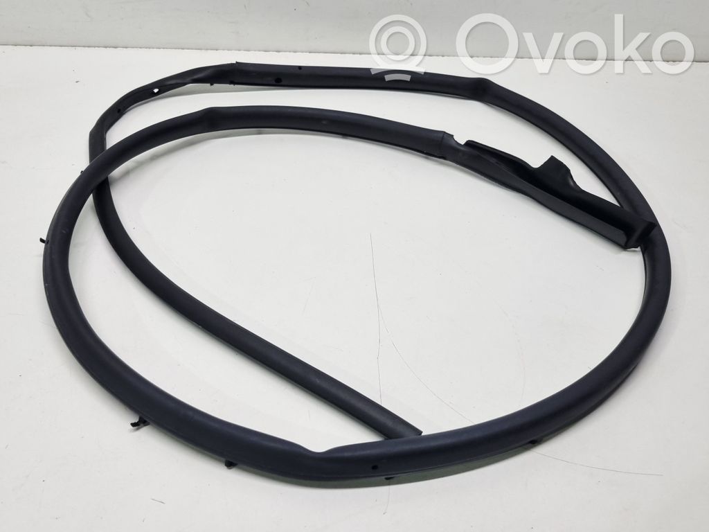 808311727R Renault Clio V Joint en caoutchouc de porte avant, 35,00 ...